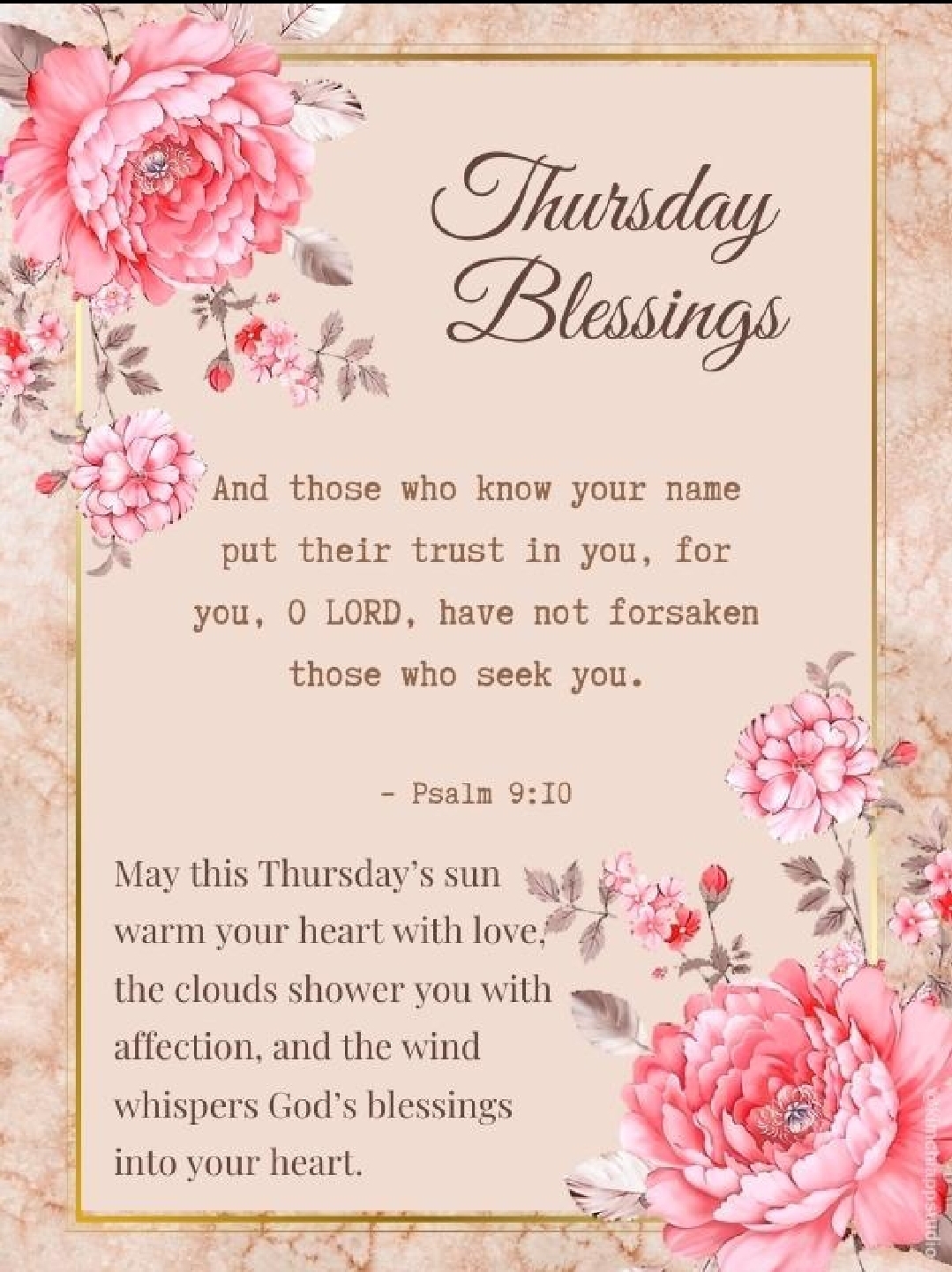50 Beautiful Thursday Blessings to Share and Pray [With Images]